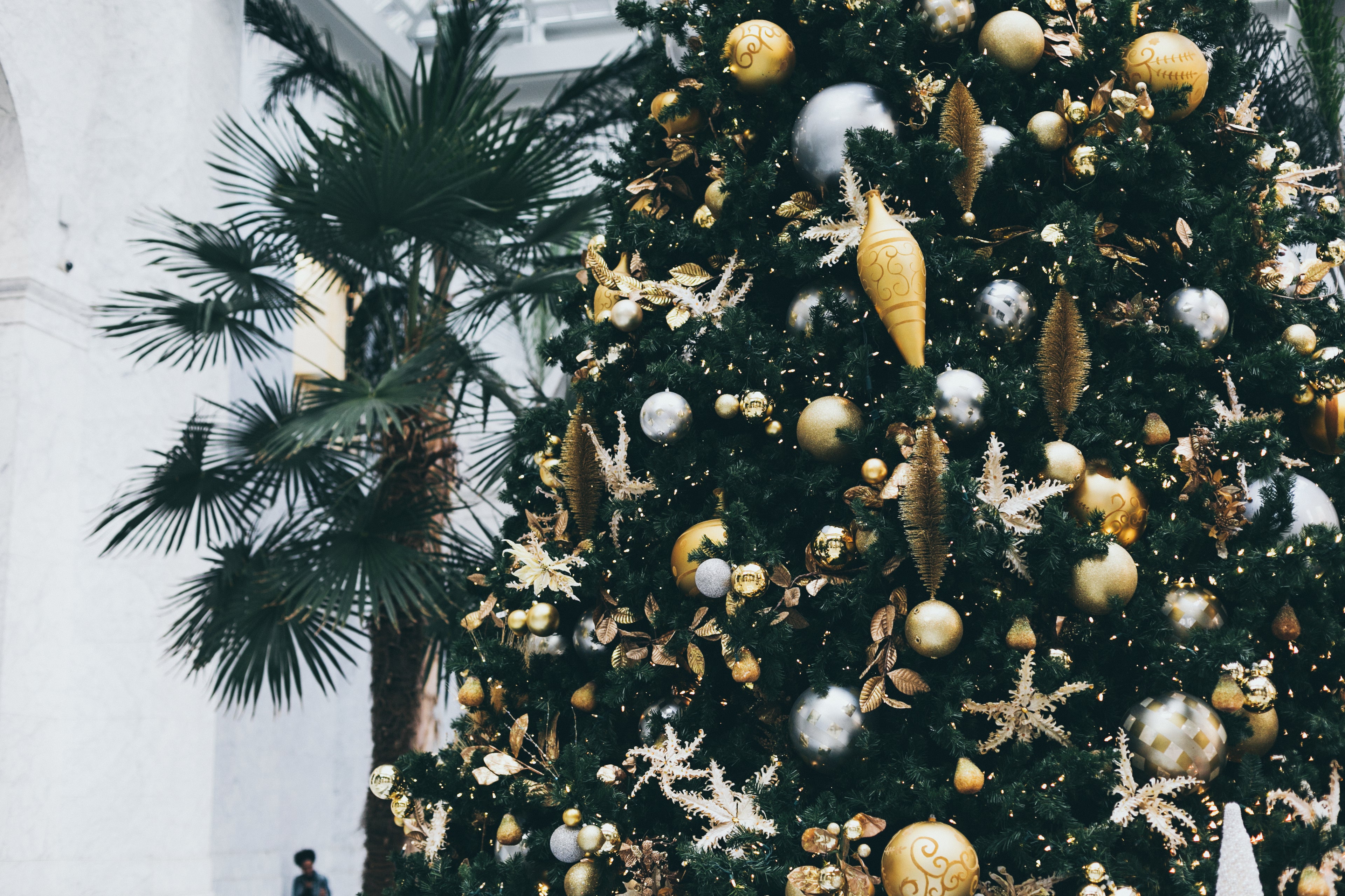 CONNOR DONAHUE OFFICIAL – Connor Donahue